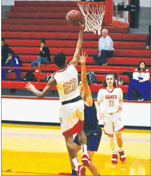 Maidens squeeze by Lady Goats | Groesbeck Journal