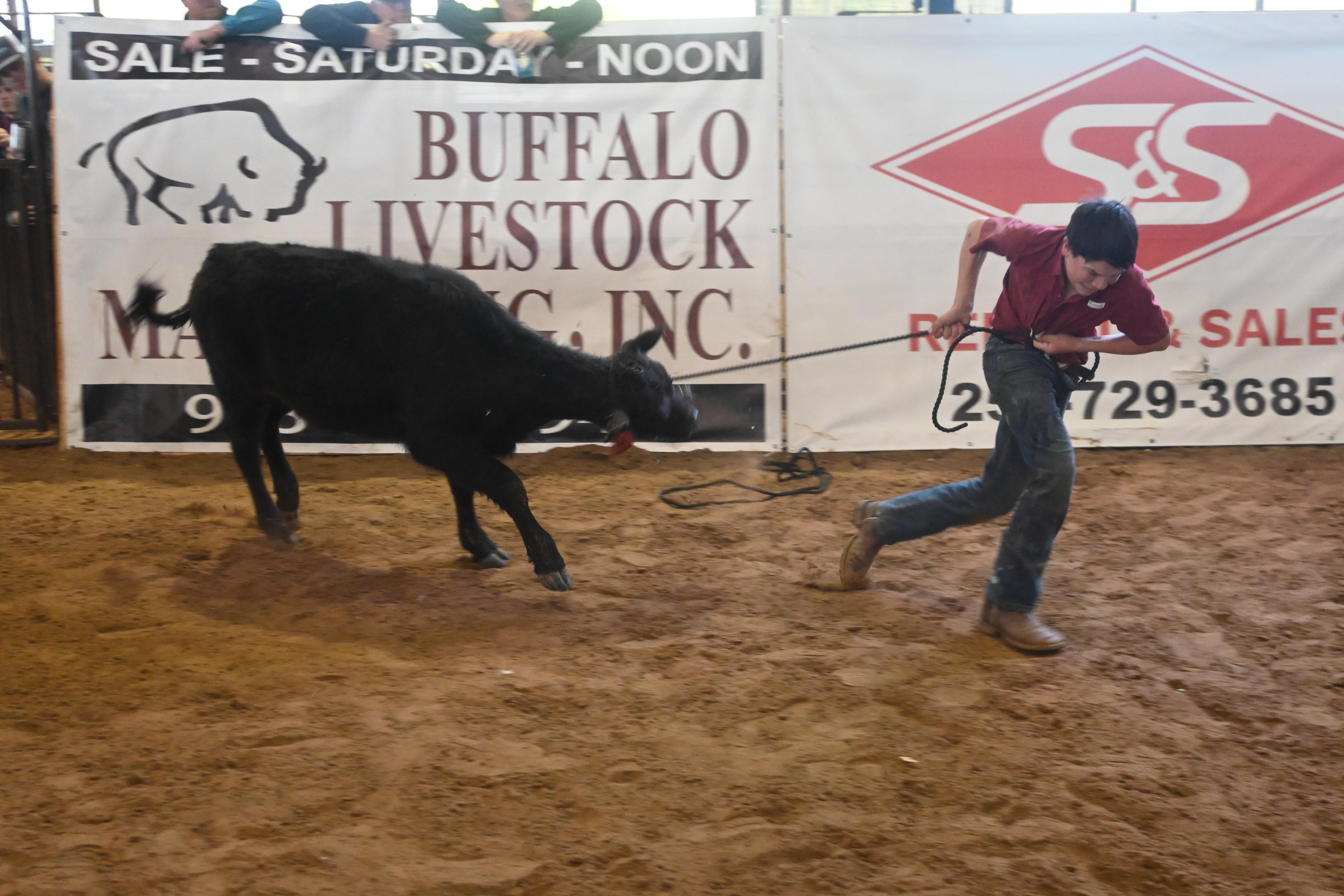 LCFA: Steers, Calf Scramble, and more... | Groesbeck Journal