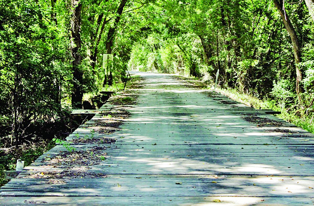 Two Limestone bridges to be replaced by TxDOT | Groesbeck Journal