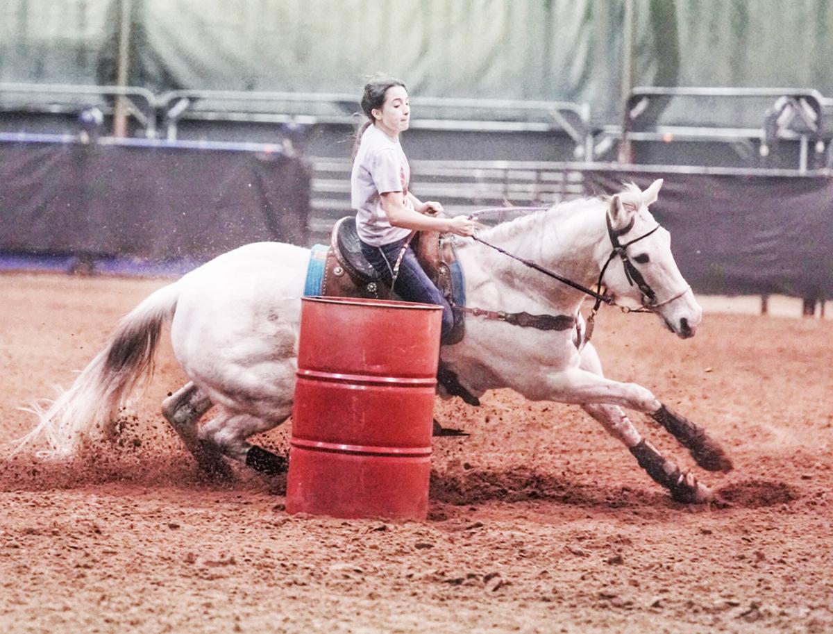 Horse show races into County fair kick off weekend | Groesbeck Journal