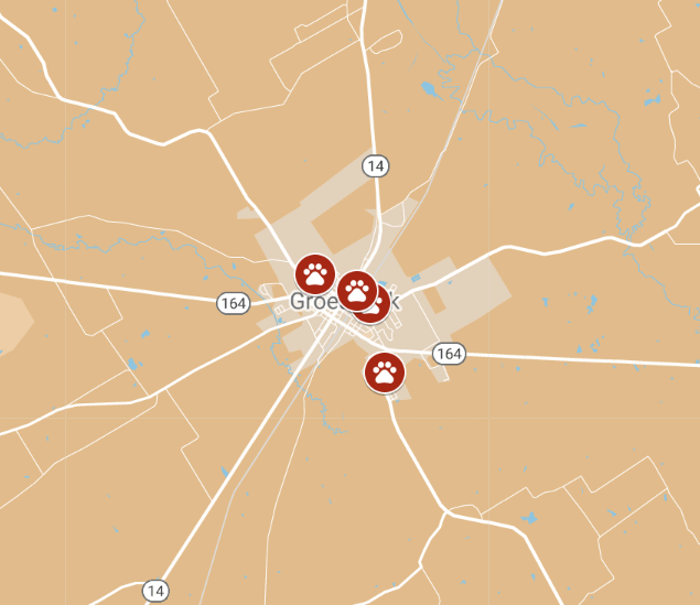 Lost? Fur-get It! Groesbeck’s New Map Tracks Lost Pets | Groesbeck Journal