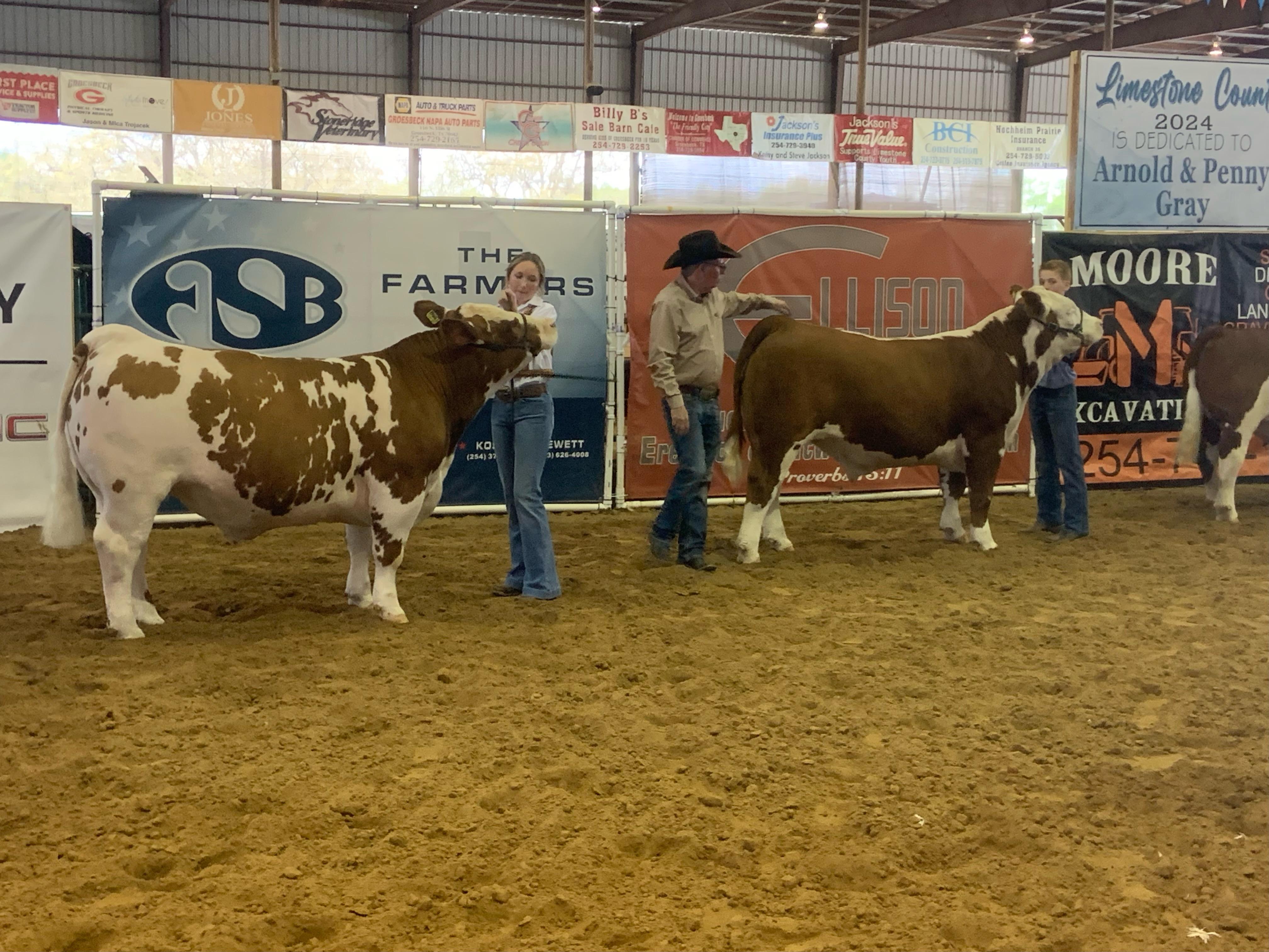 LCFA: Steers, Calf Scramble, and more... | Groesbeck Journal
